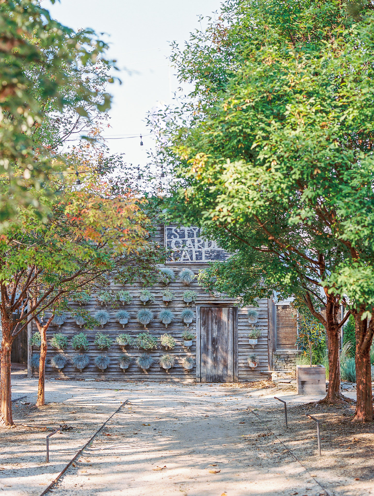 Fall Terrain Wedding Full of Autumnal Color - Katie Trauffer Photography