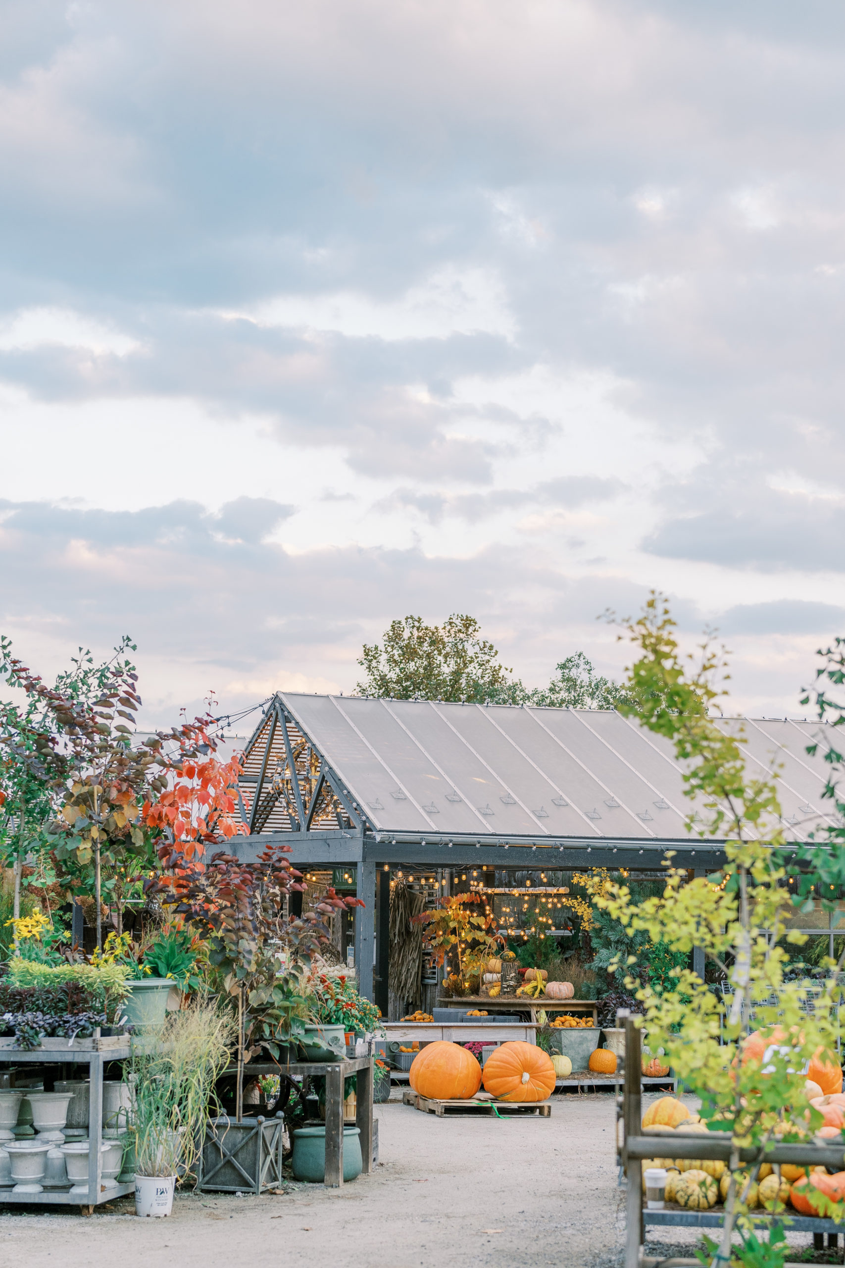 Fall Terrain Wedding Full of Autumnal Color - Katie Trauffer Photography