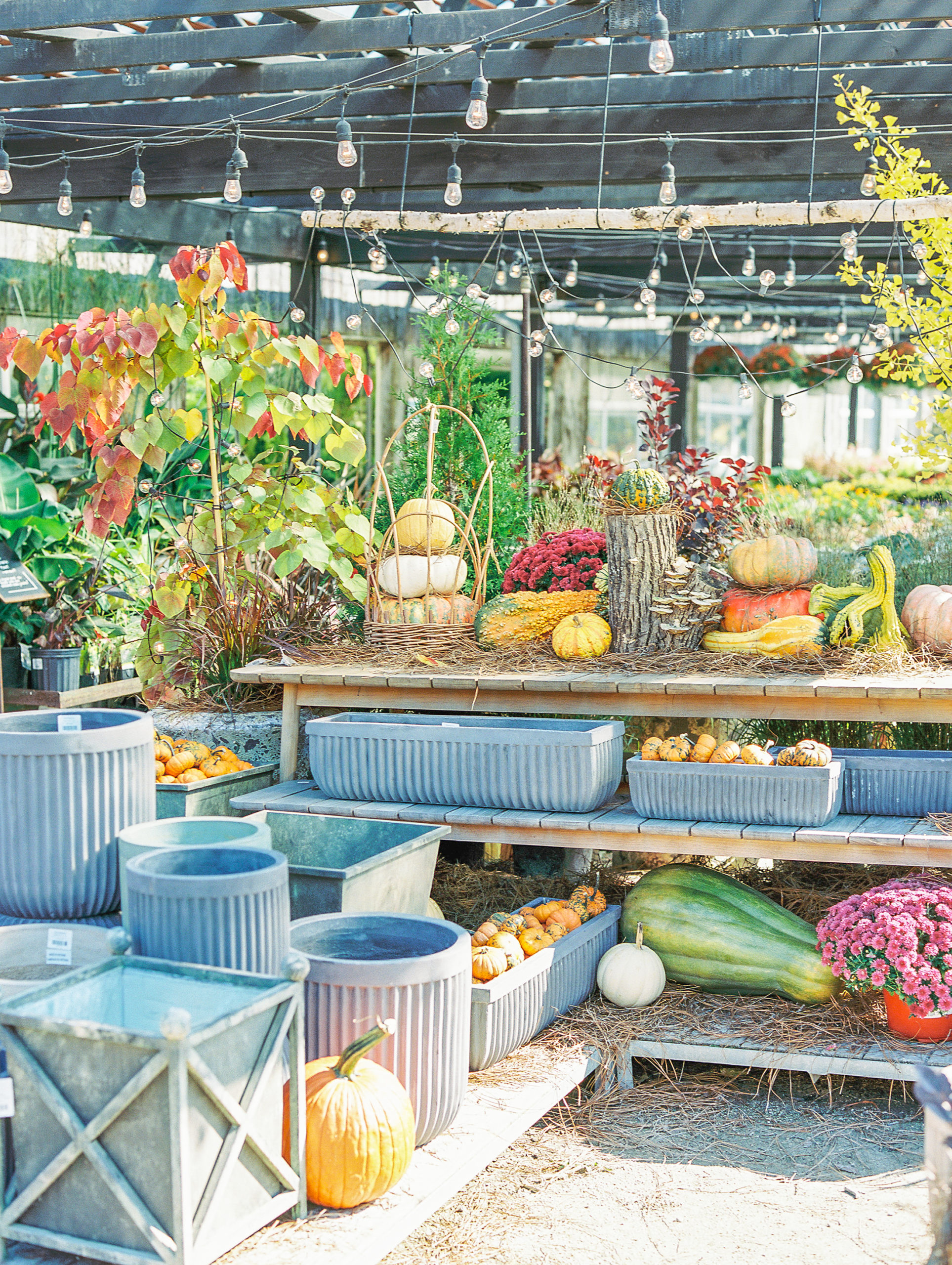 Fall Terrain Wedding Full of Autumnal Color - Katie Trauffer Photography