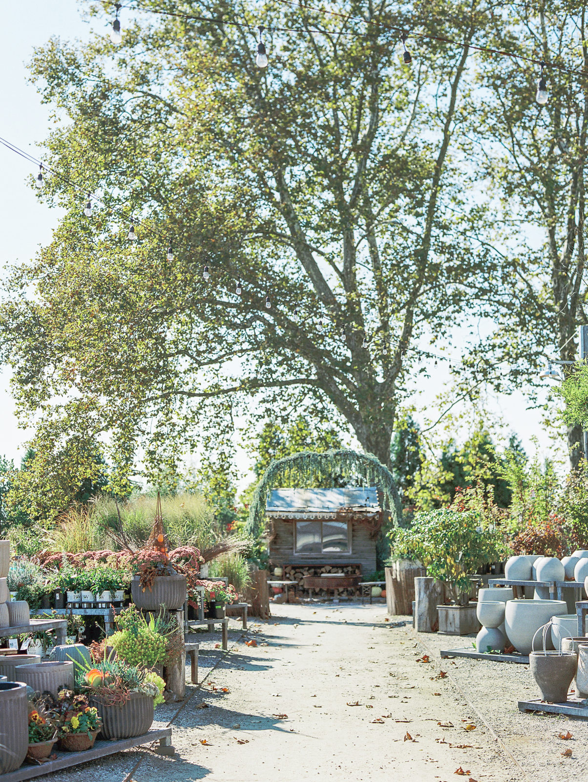 Fall Terrain Wedding Full of Autumnal Color - Katie Trauffer Photography