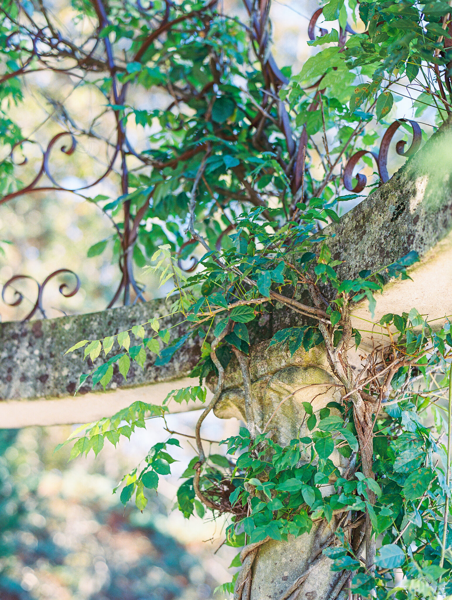 French Garden Oheka Castle Wedding - Katie Trauffer Photography