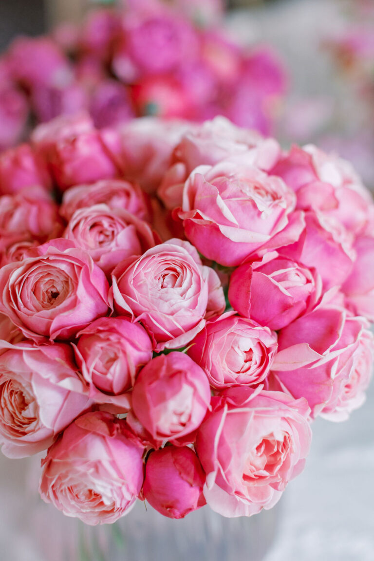 French Chateau Wedding I Marie Antoinette Welcome Party - Katie ...